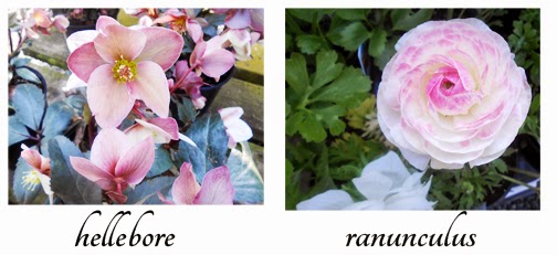 Sacred Circle Mandalas