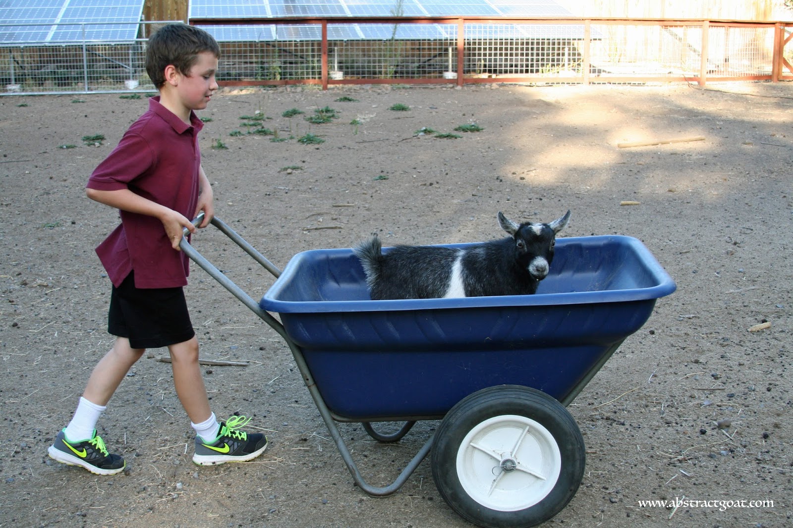 Abstracts from the Goat Farm: Goat-ercise