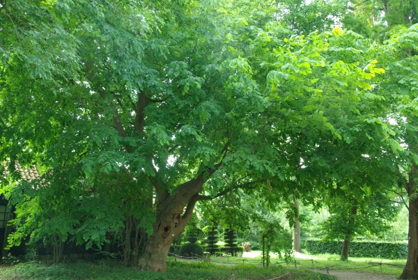 Sypesteyn in the picture: juni 2015