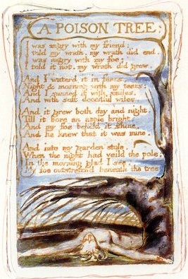 Katie Who Can Read: The Poison Tree, Erin Kelly