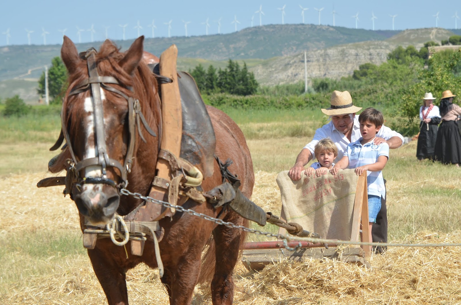 Centro de Estudios Borjanos: Trillando en la era
