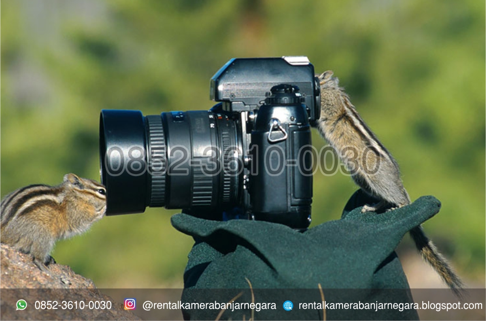 Sewa Alat Kamera di Banjarnegara, WA 0852-2765-5050