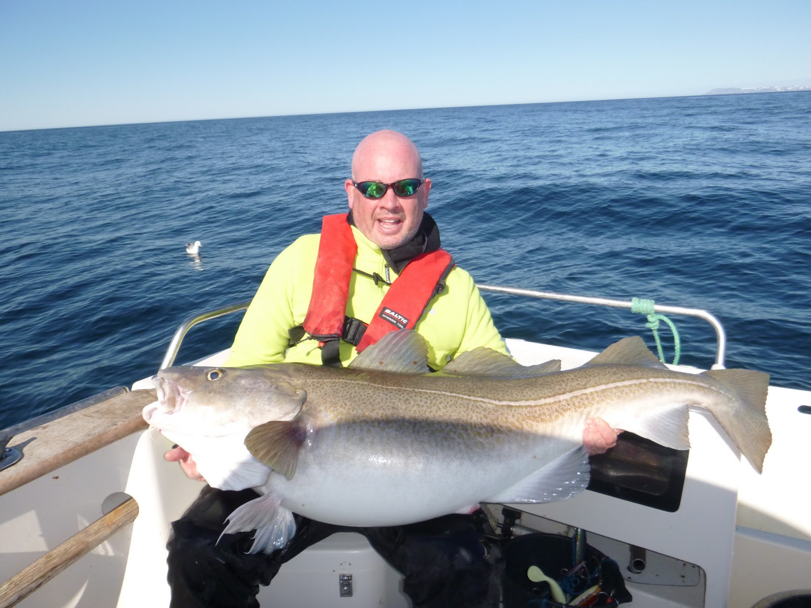 May Fish of the Month Entry - Norweigan Cod!