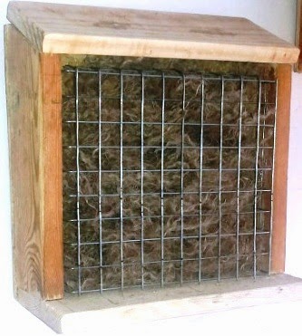 HIRVAL FOUNDATION: Save House Sparrow