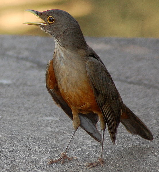Natureza, Perfeição sem tamanho...