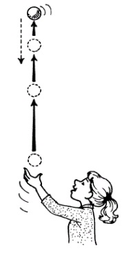 Science Concepts and Questions (K to 12): FORCES AND MOTION TEST QUESTIONS