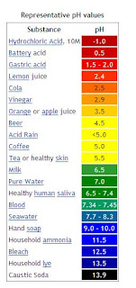 Probiotics and your Dental Health