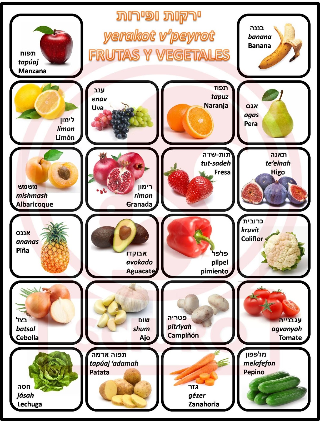 La Sciuro: Curso de Hebreo - Lección 4
