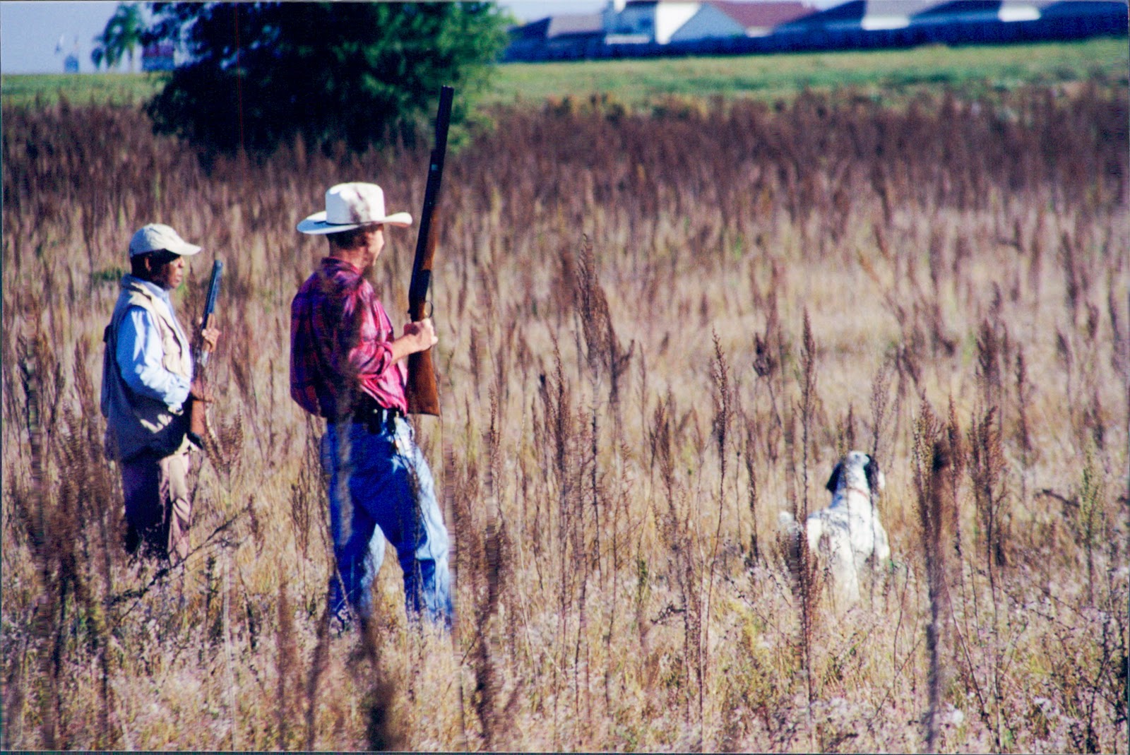 Orlando Street Photography: On Point