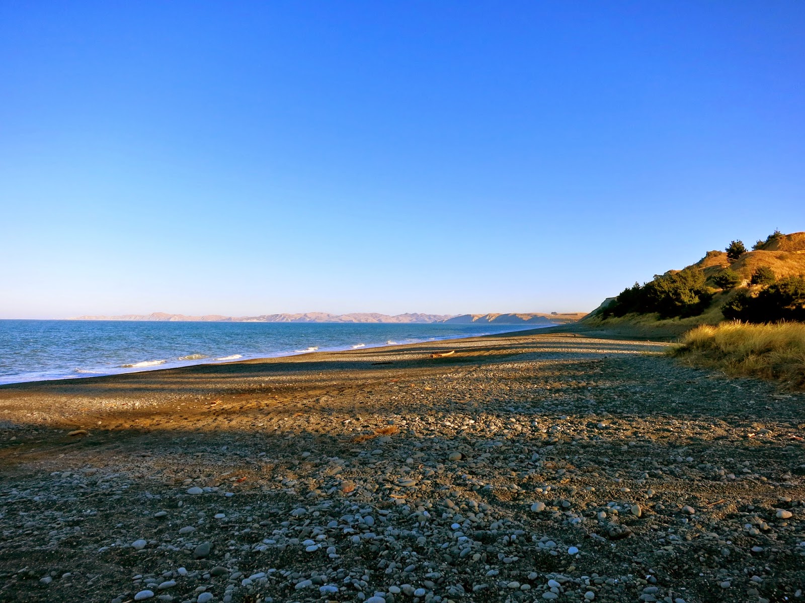 Wayfarer: Seddon, New Zealand