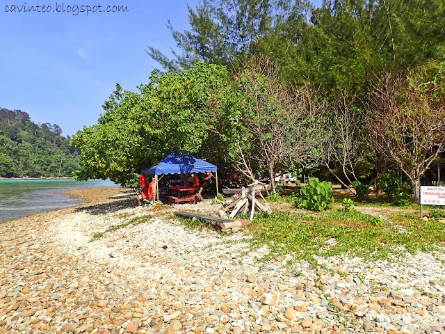 Entree Kibbles: Coral Flyer - The World's Longest Island to Island ...
