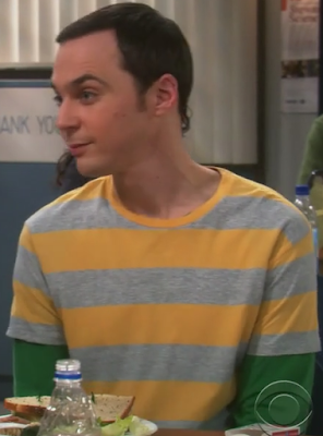 All Shirts Worn by Sheldon Cooper in The Big Bang Theory: Sheldon ...