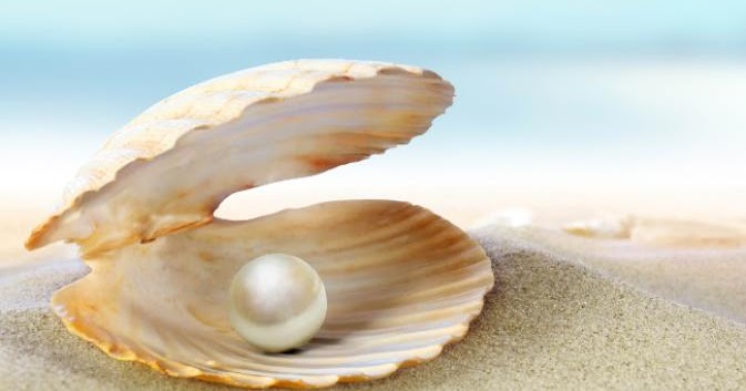 Proses Terbentuknya Mutiara