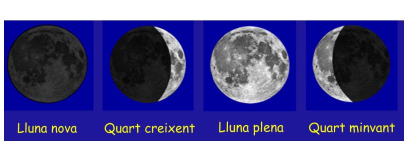 A la meua aula: LA LLUNA
