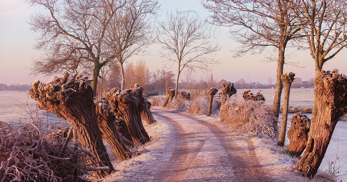 De Alblasserwaard: Wintermoment (Alblasserwaard)