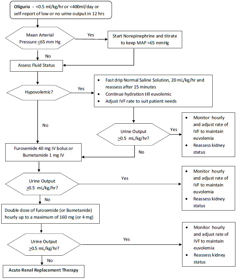 Public Health Resources: Algorithm for the Management of Oliguria in ...