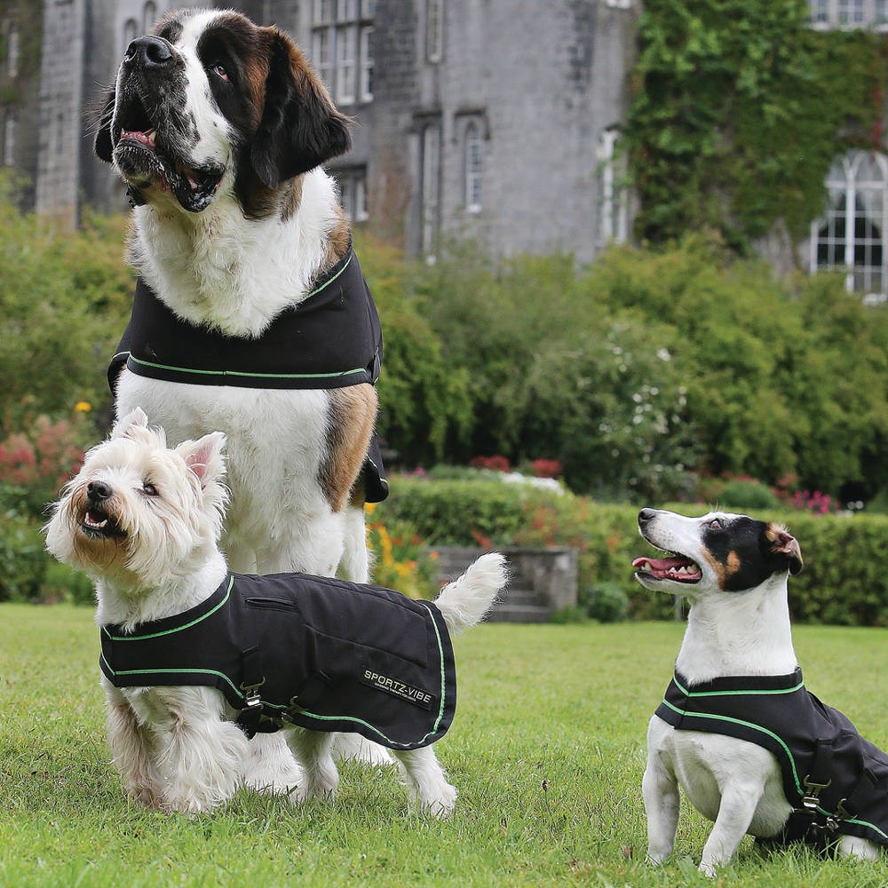 15 Favourite Winter Warmers for Dogs | Australian Dog Lover