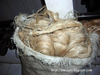 Ilmu Textill Serat Alam Batang Dan Daun: Serat Batang dan Daun