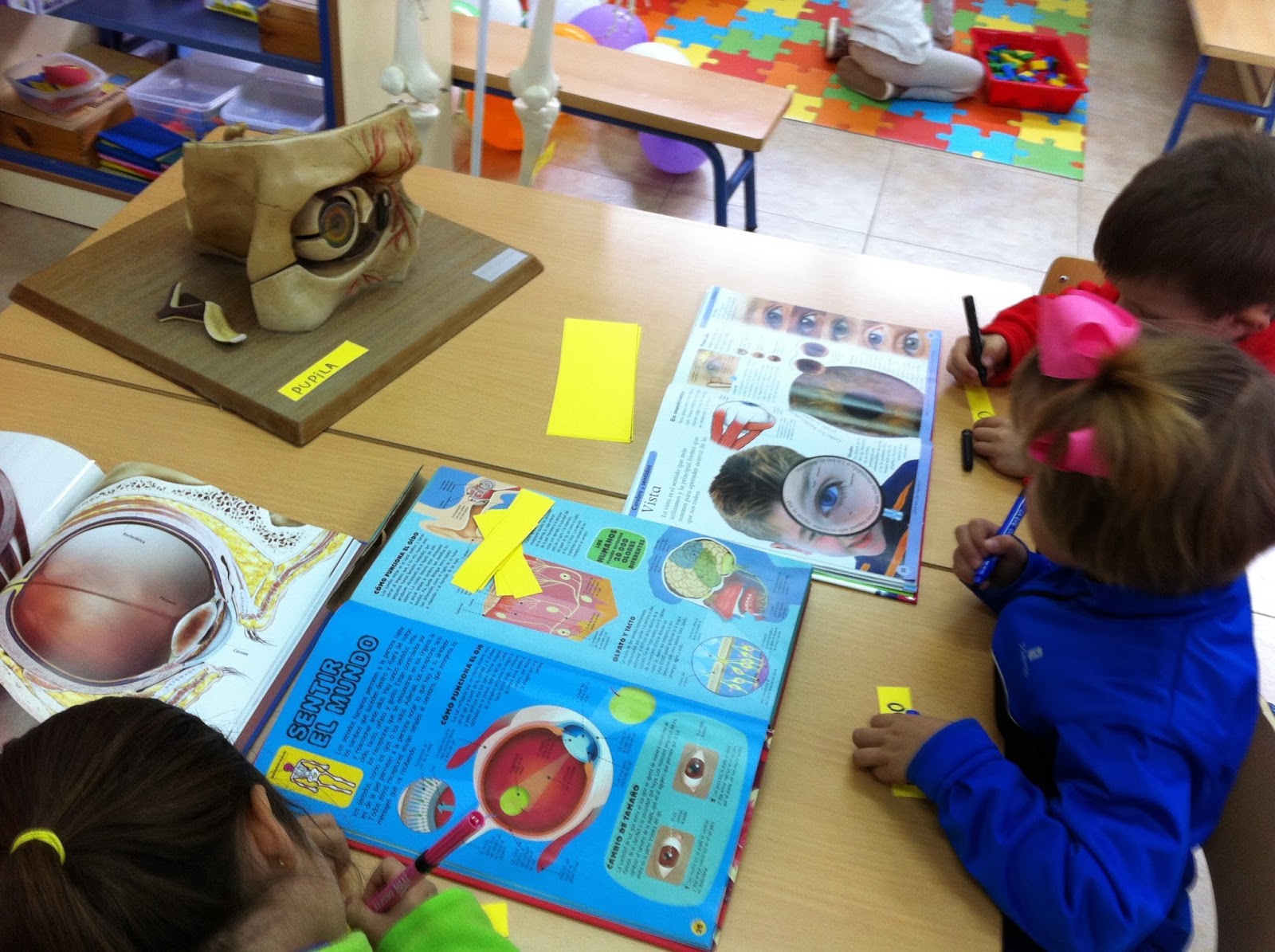 EL SUEÑO DE SER: EXPLORANDO NUESTROS SENTIDOS.