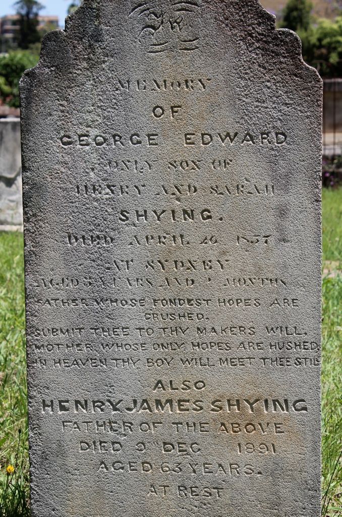 THE PIGOTT FAMILY OF QUEEN'S COUNTY, IRELAND; SOME ANCESTRAL ...