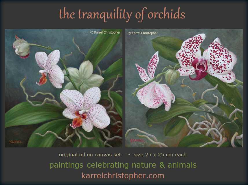 KARREL's Creative Path: ORCHIDS