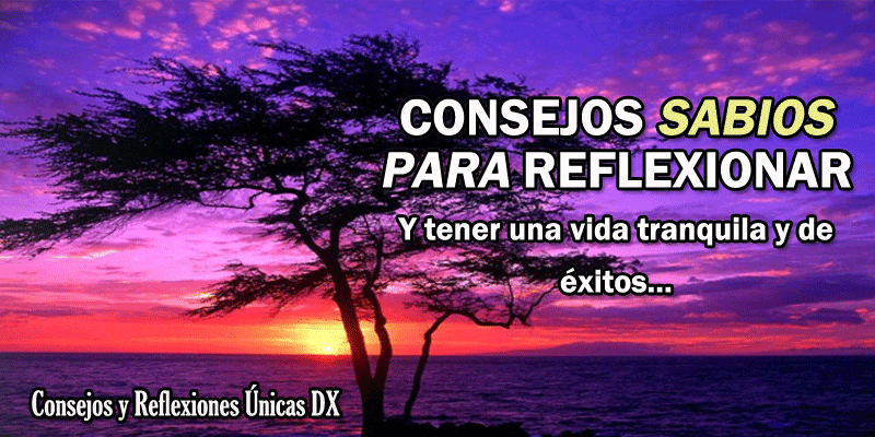 consejos sabios para reflexionar