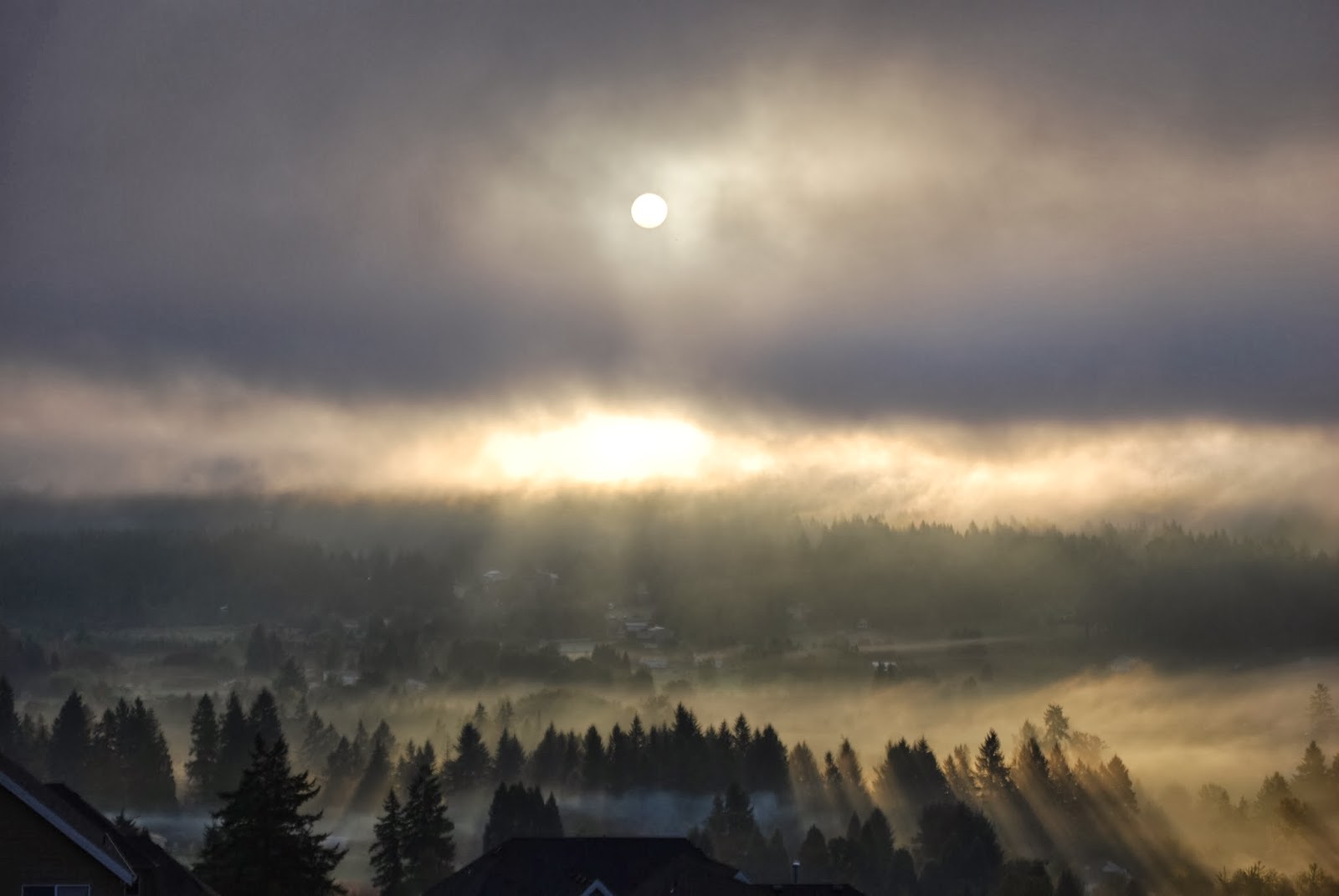 My Point of View: Early Morning...