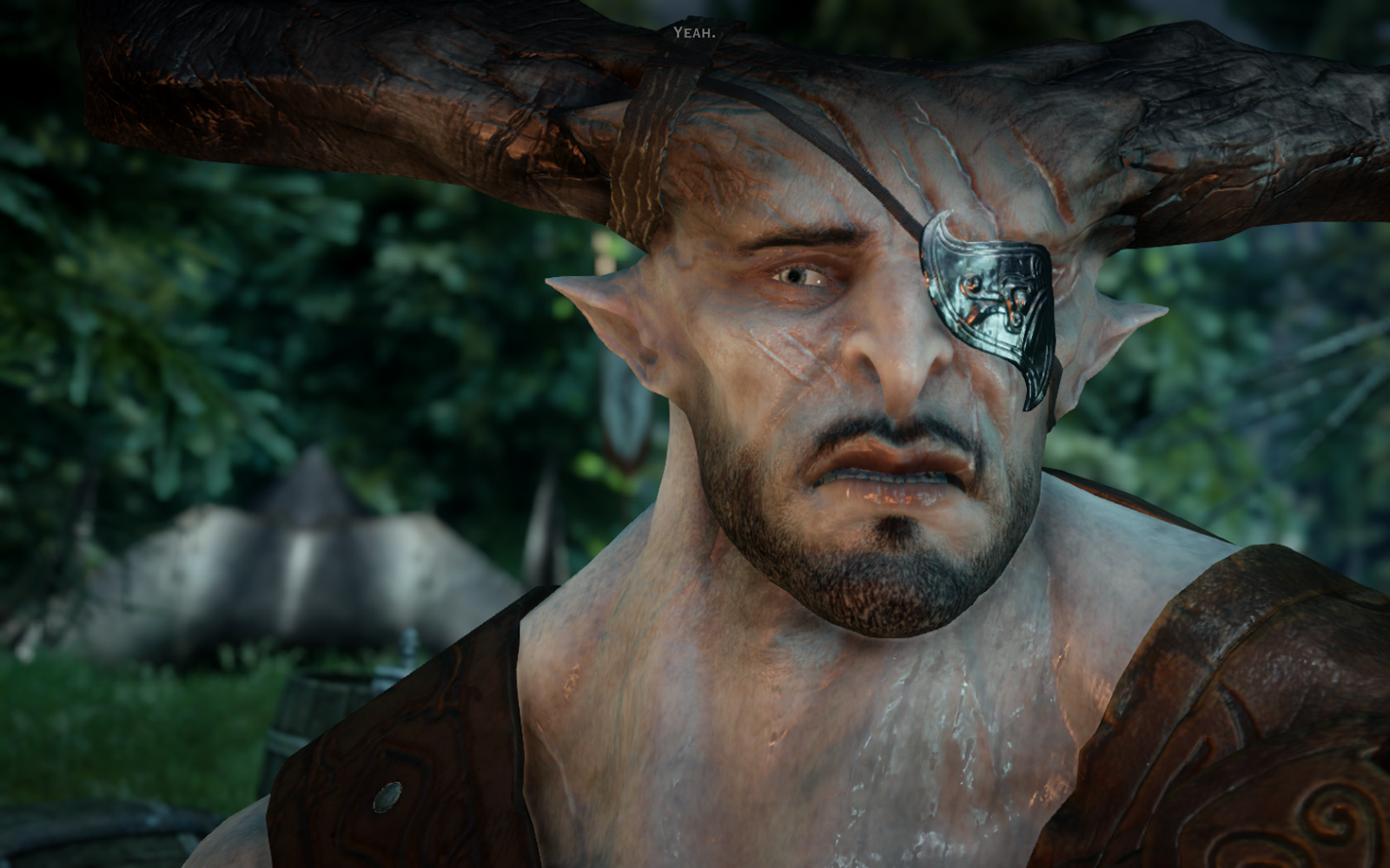 Dumped, Drunk and Dalish: The Spy Who Never Loved Me: The Iron Bull's ...