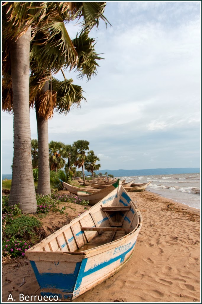 SIBISNUS: UGANDA: BUTIABA (LAGO ALBERTO) - RUIGO (KIBELE CRÁTER)