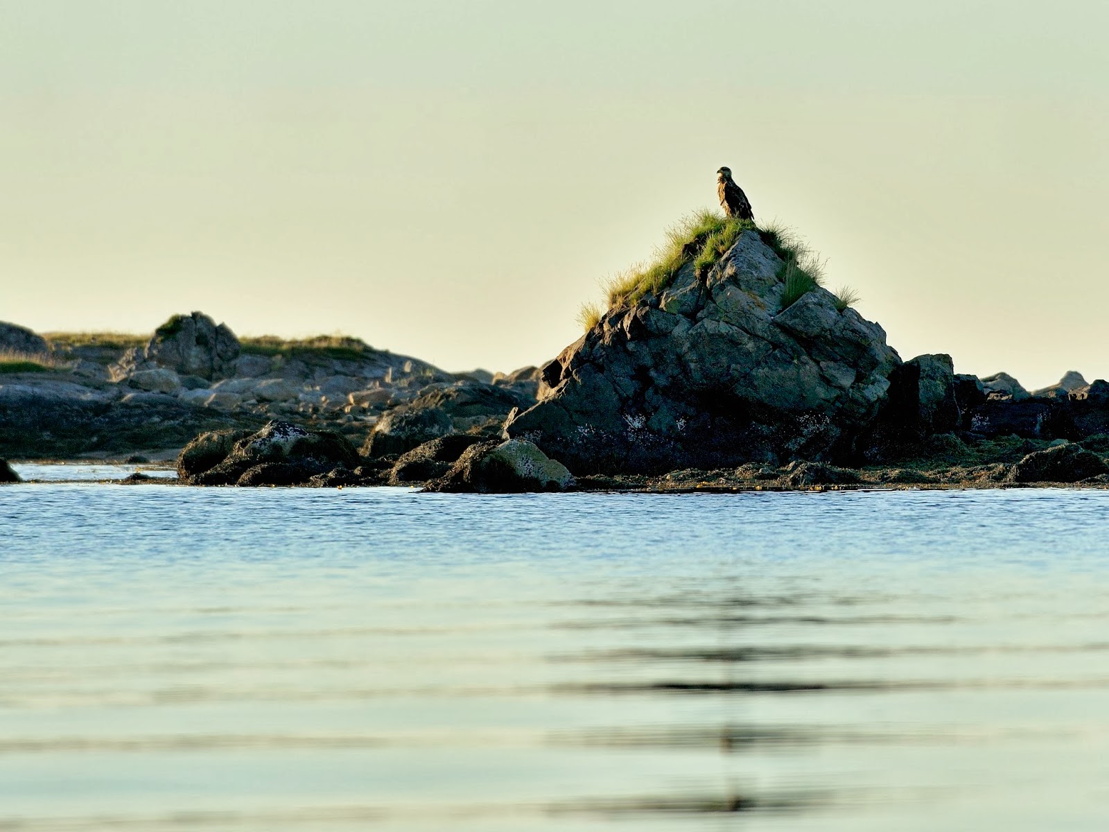 bilder&tekst: Minner fra en nord norsk sommer 3. / Memories of a summer ...