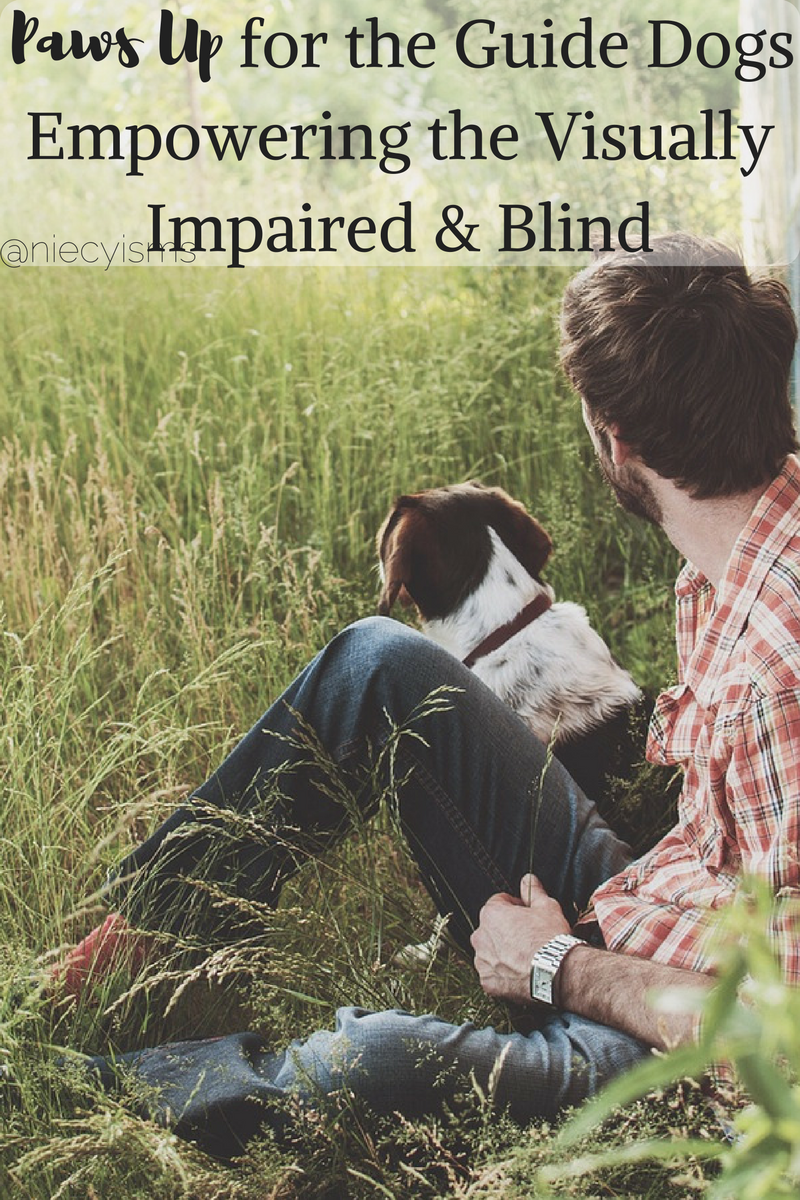 Paws Up for the Guide Dogs Empowering the Visually Impaired and Blind
