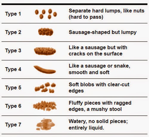 stomach gas and flatulence: Causes,treatment and Outcome of flatulence