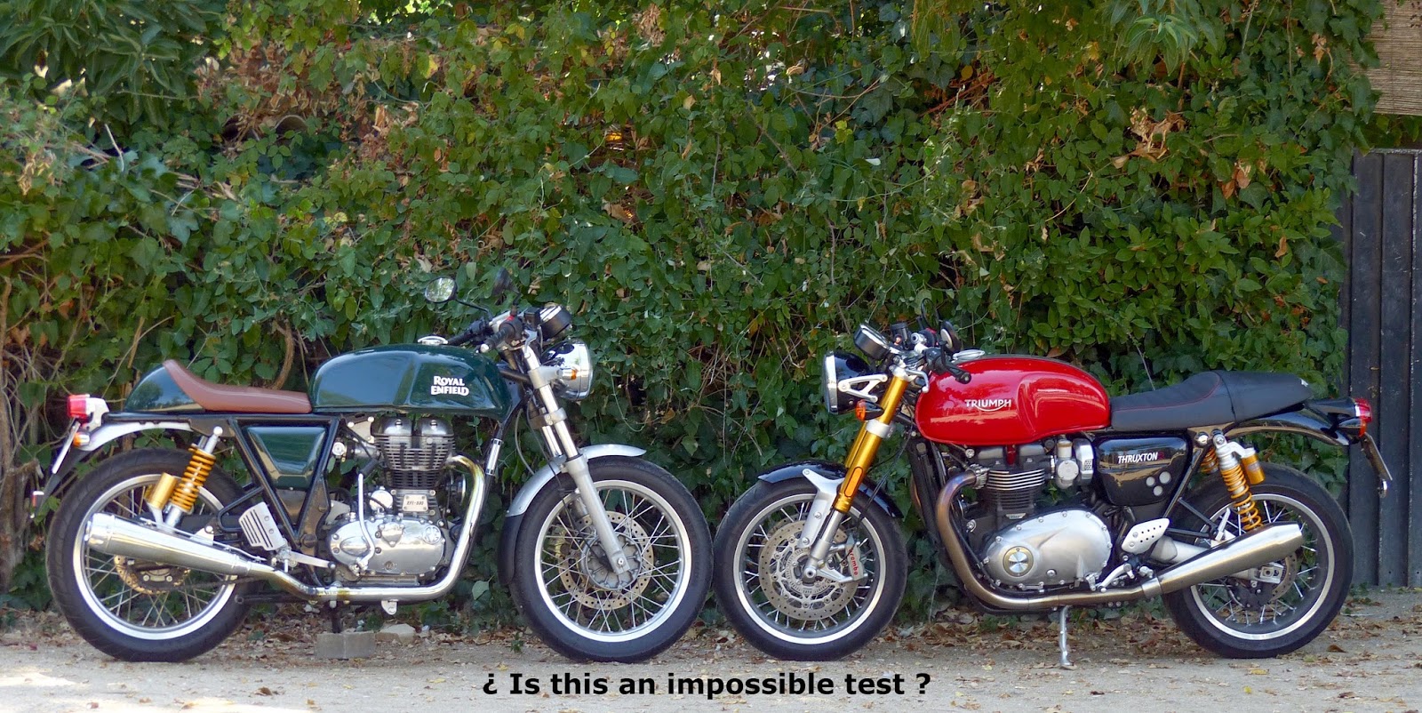 Triumph Bonneville Vs Royal Enfield Continental Gt at Riley Saltau blog