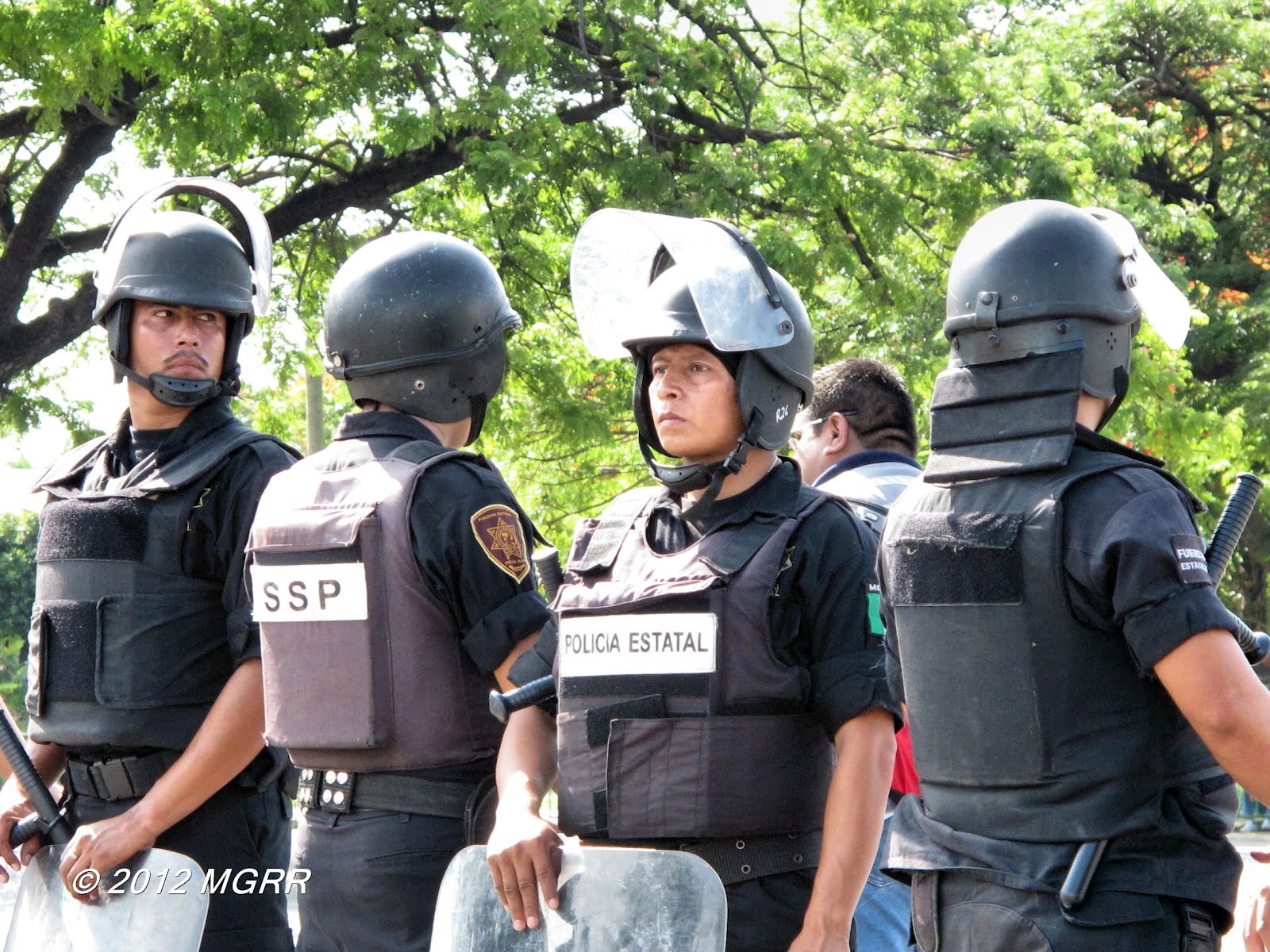 MGR - the Mexico Gulf Reporter: Routine traffic stop in Mérida yields ...