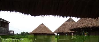 Pé no Mapa: DANÇA MAKUSHI