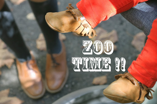 zoo time! - Flora & Fauna