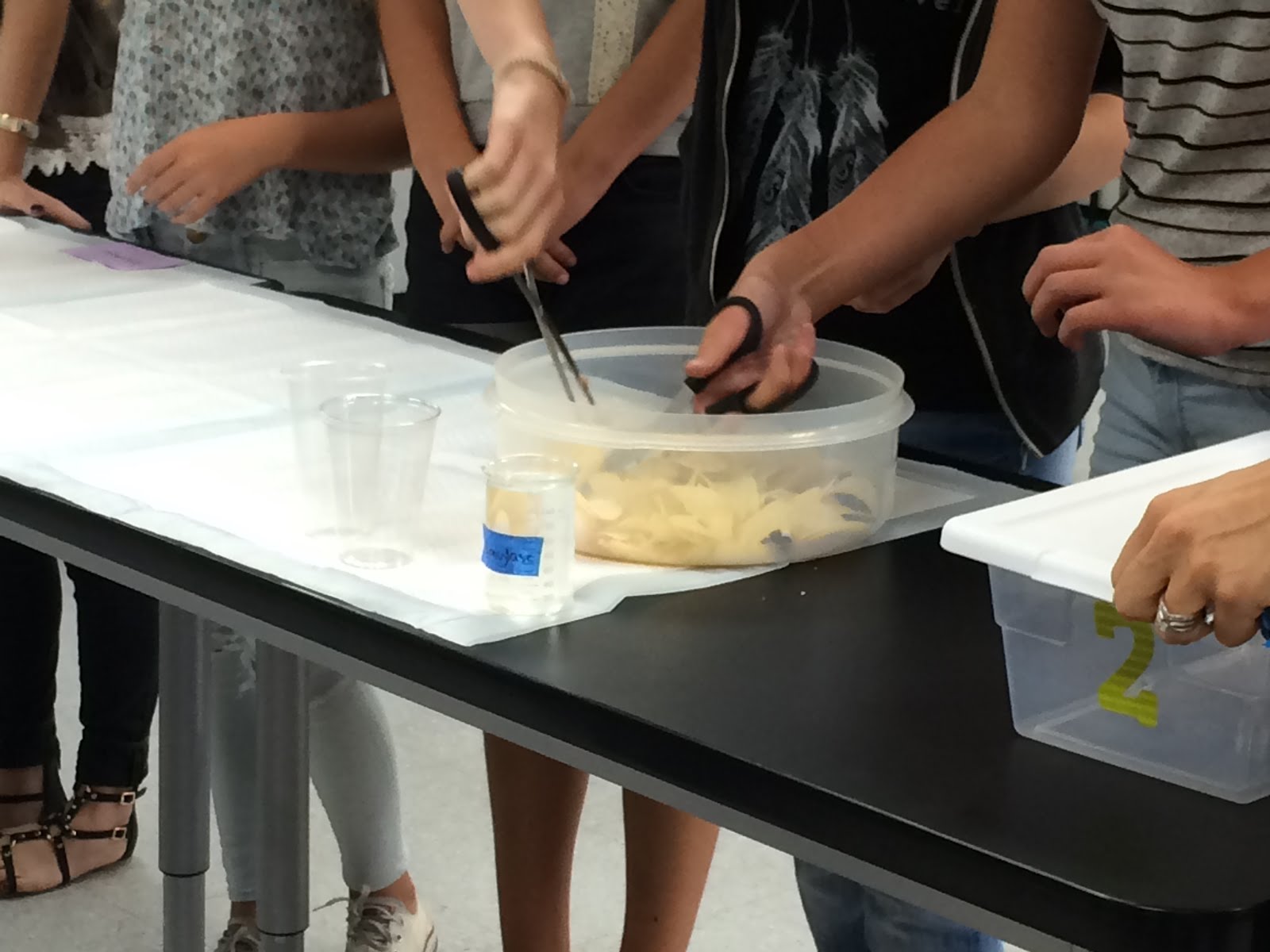 Trent Crean 2016-2017 Digital Notebook: Making Poop: A Look at the ...