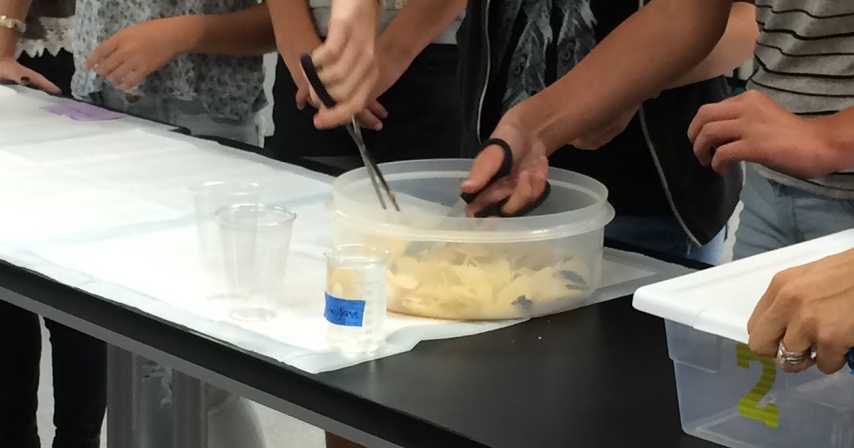 Trent Crean 2016-2017 Digital Notebook: Making Poop: A Look at the ...