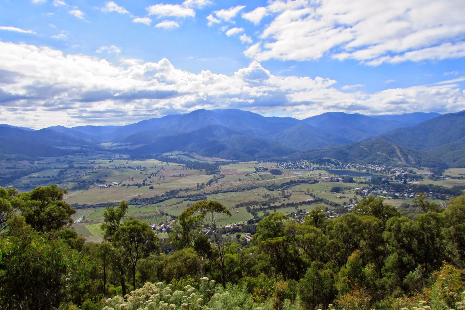 To Travel is to Live: Victorian Alps
