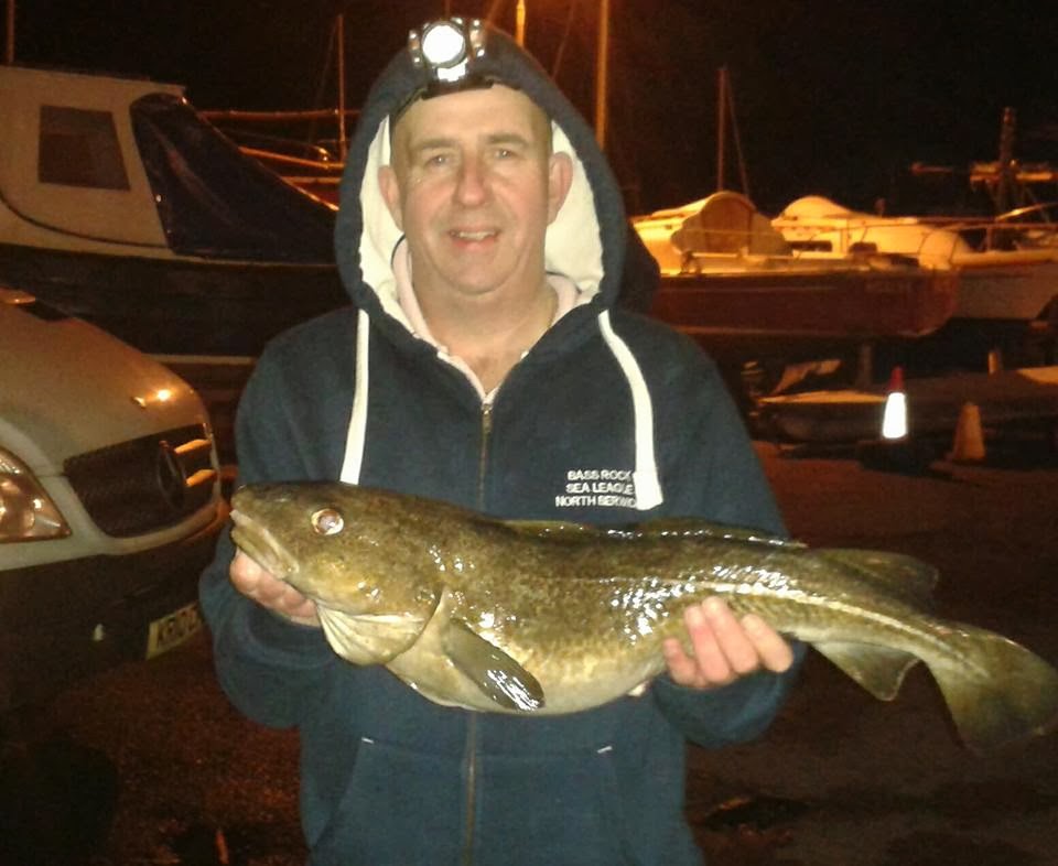 February Fish of the Month Entry - Berwick Cod!