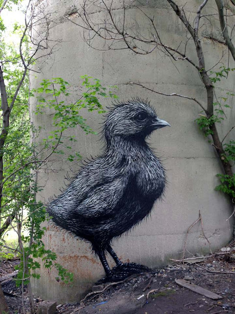 ROA New Street Piece In Rochester, USA (Part II) – StreetArtNews