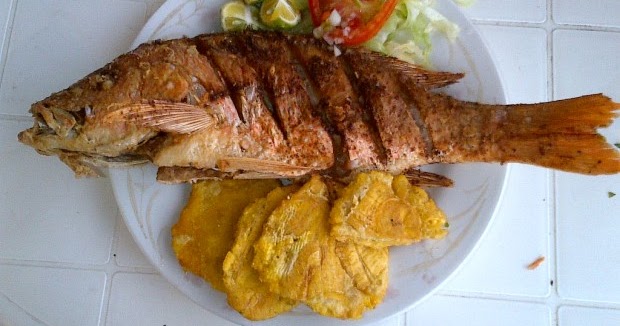 Comidas Al Estilo Colonense