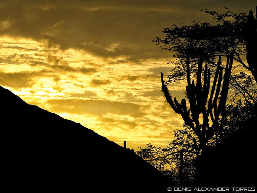 VISION TORRES - IMAGENES DE NUESTRO MUNDO: LOS VALLES SECOS DE MÉRIDA ...