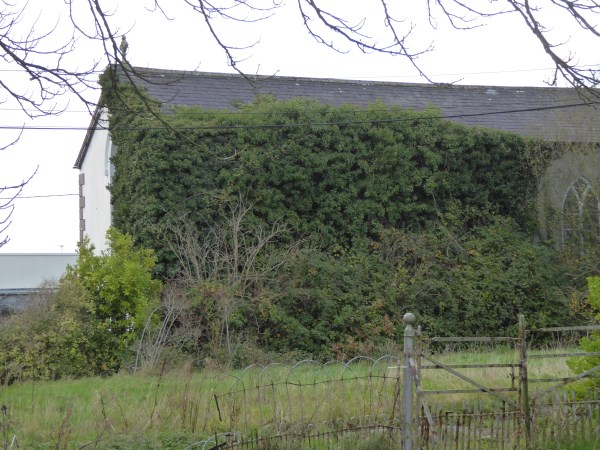 Listowel Connection: A Tan song, Listowel Convent now and some more ...