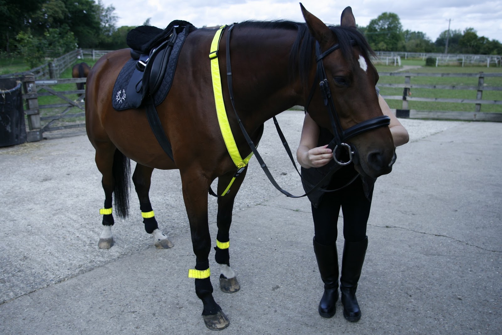 TRAKEHNERS CAN JUMP: TRAKEHNERS CAN JUMP part 4