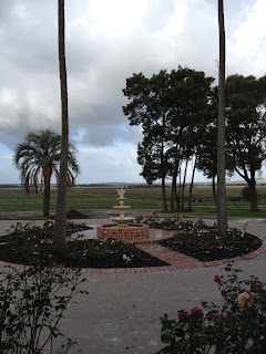 Up, up & away: Tullaree