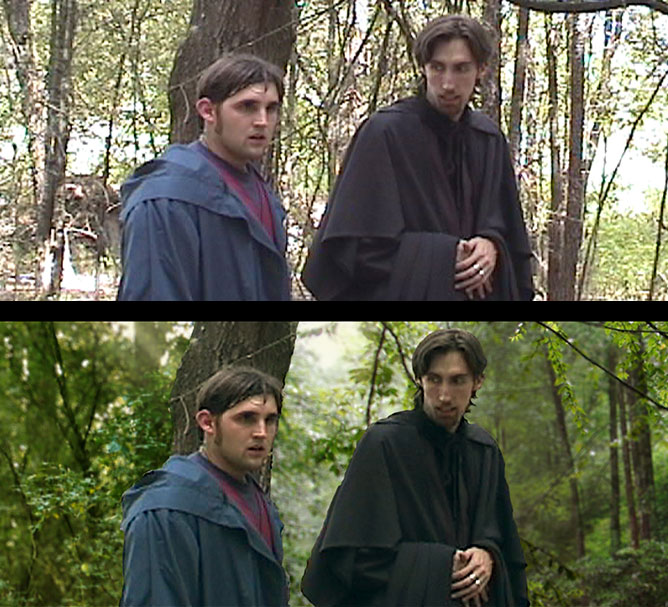 The Art of Terry Hamel