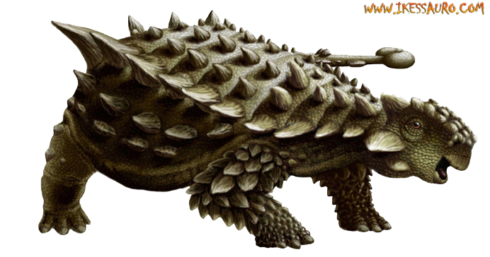 Saichania | Ikessauro