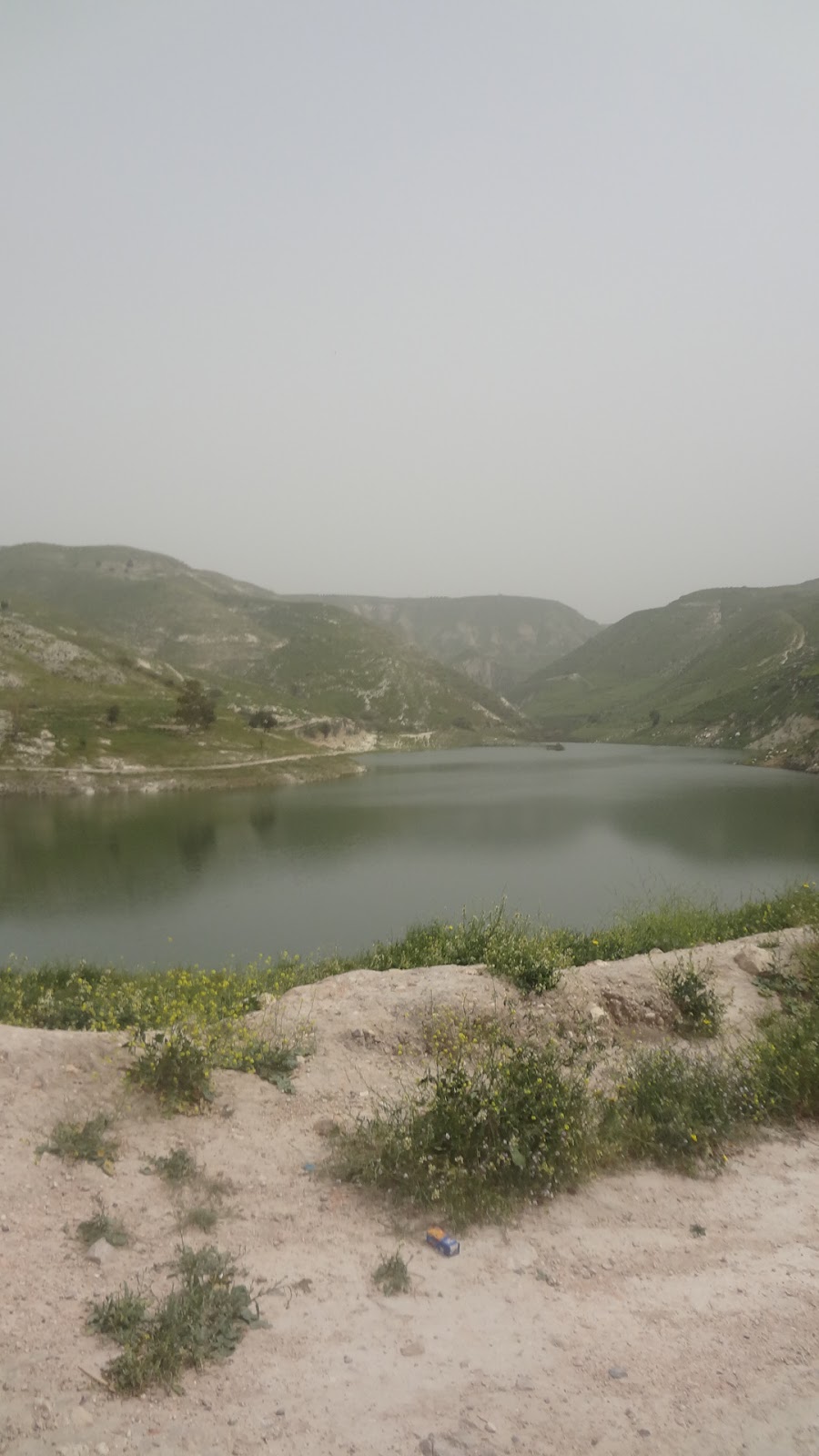 Amman Spring: My Semester in Jordan