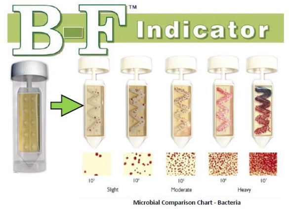 เปรมศักดิ์กมล อินเตอร์เทรด: ชุดตรวจสอบแบคทีเรียเคลื่อนที่ (BF-INDICATOR)